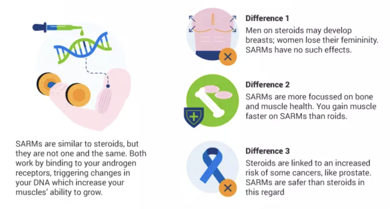 Everything You Need To Know About Selective Androgen Receptor Modulators